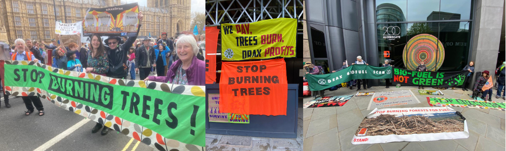 biofuelwatch – raising awareness of the negative impacts of industrial ...