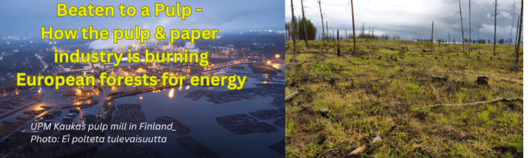 Beating Europe’s forests to a pulp | Biofuelwatch