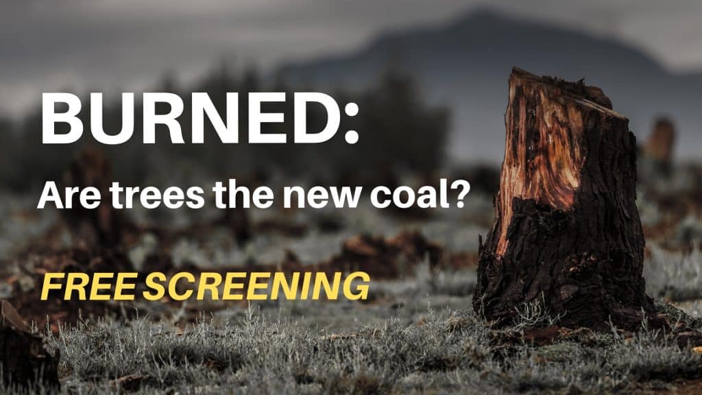 BURNED: Are Trees the New Coal | Biofuelwatch