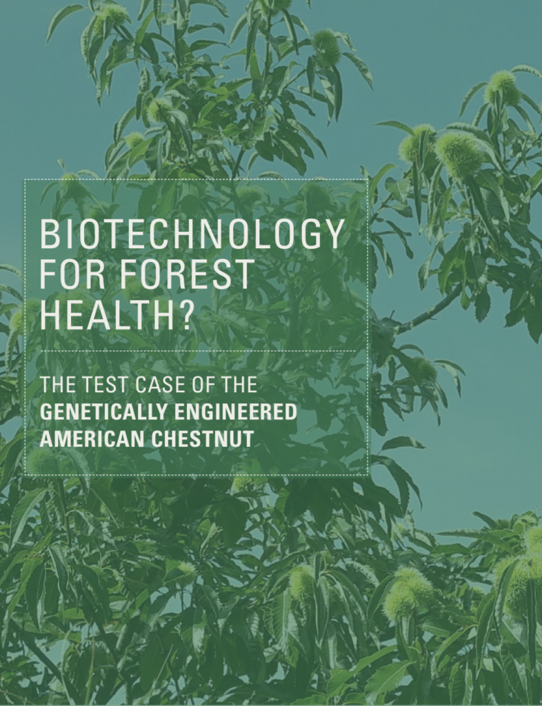 Joint Report about Genetically Engineered American Chestnut trees ...