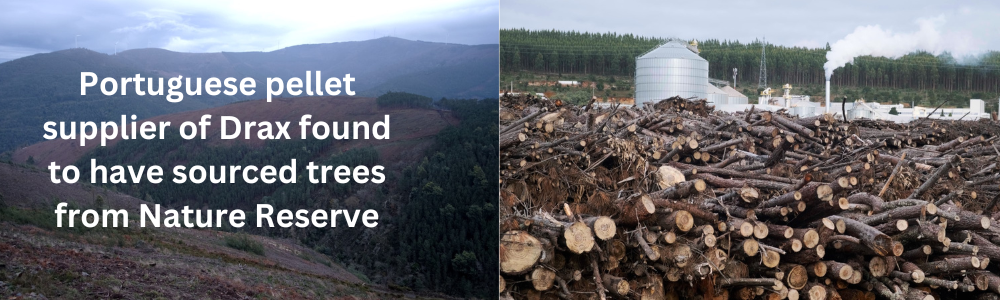 biofuelwatch – Raising awareness of the negative impacts of industrial ...