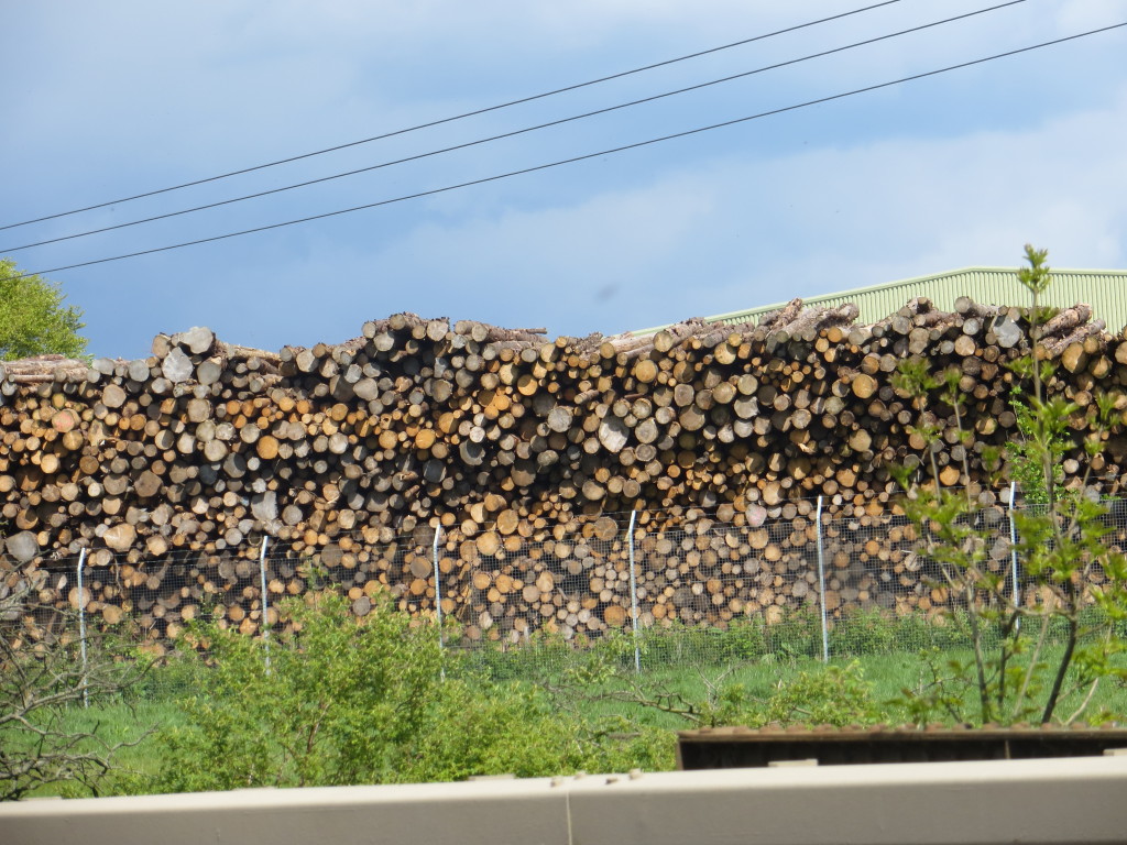 Woodchipping facility – biofuelwatch