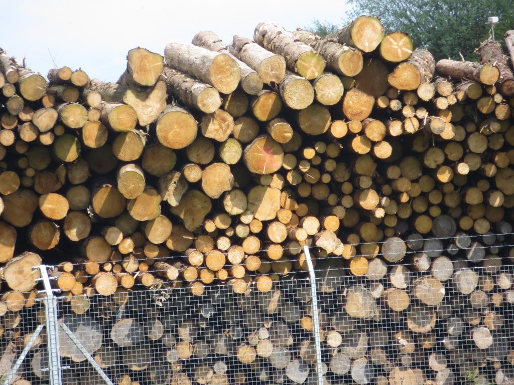 Residents express concerns over RWE biomass plant at Markinch ...