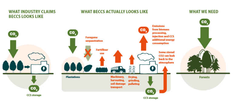 BECCS Factsheet April 2023 – biofuelwatch